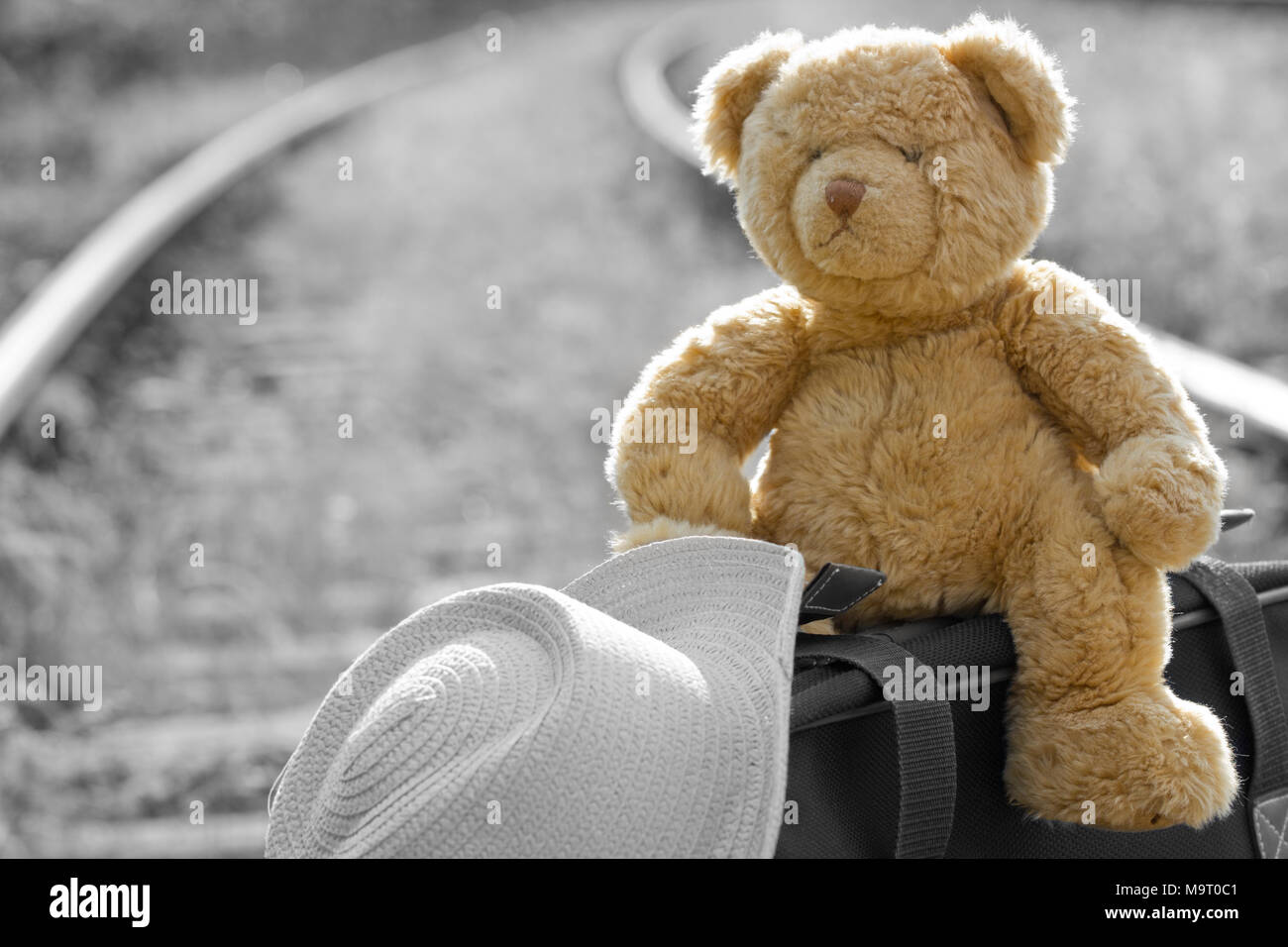 Teddy bear on a train hi-res stock photography and images - Alamy