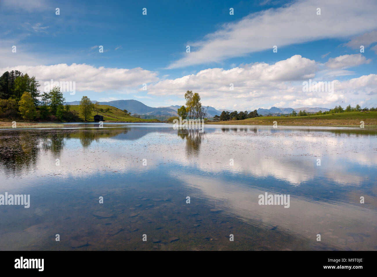 Wise een tarn hi-res stock photography and images - Alamy