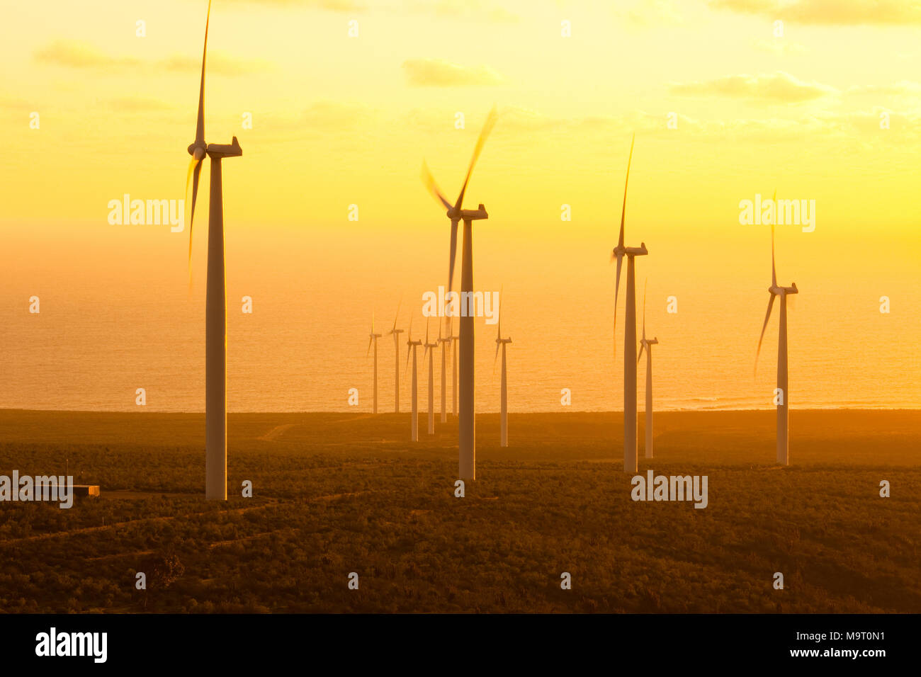 Windmills at wind farm in Coquimbo Region, Chile Stock Photo - Alamy