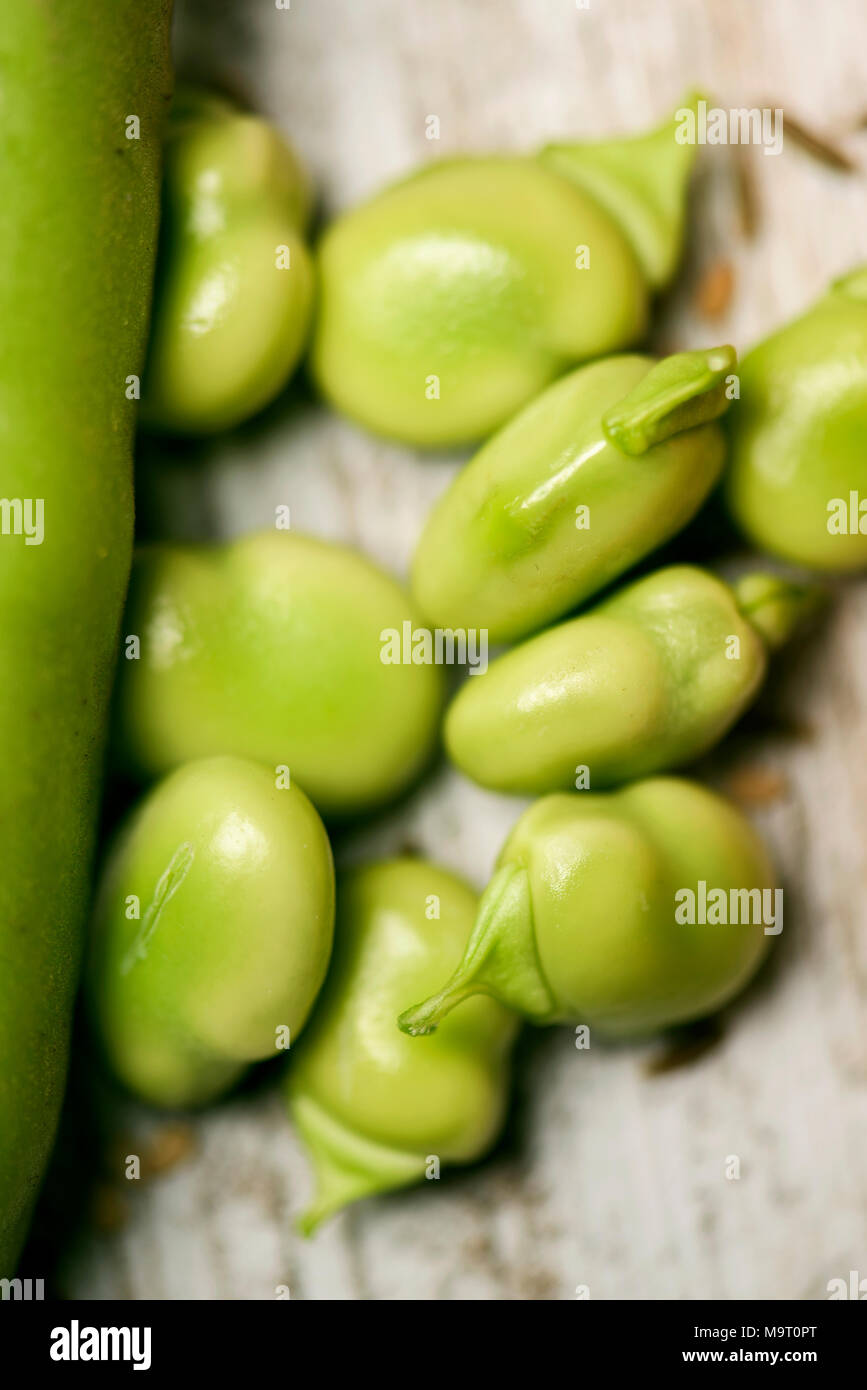 Broad bean pod hi-res stock photography and images - Alamy