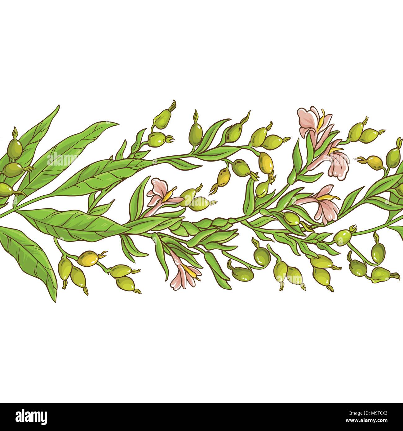 cardamom plant vector pattern on white background Stock Vector Image ...