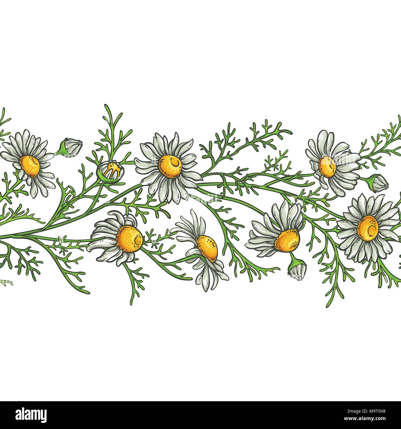 chamomile flower vector pattern on white background Stock Vector Image ...