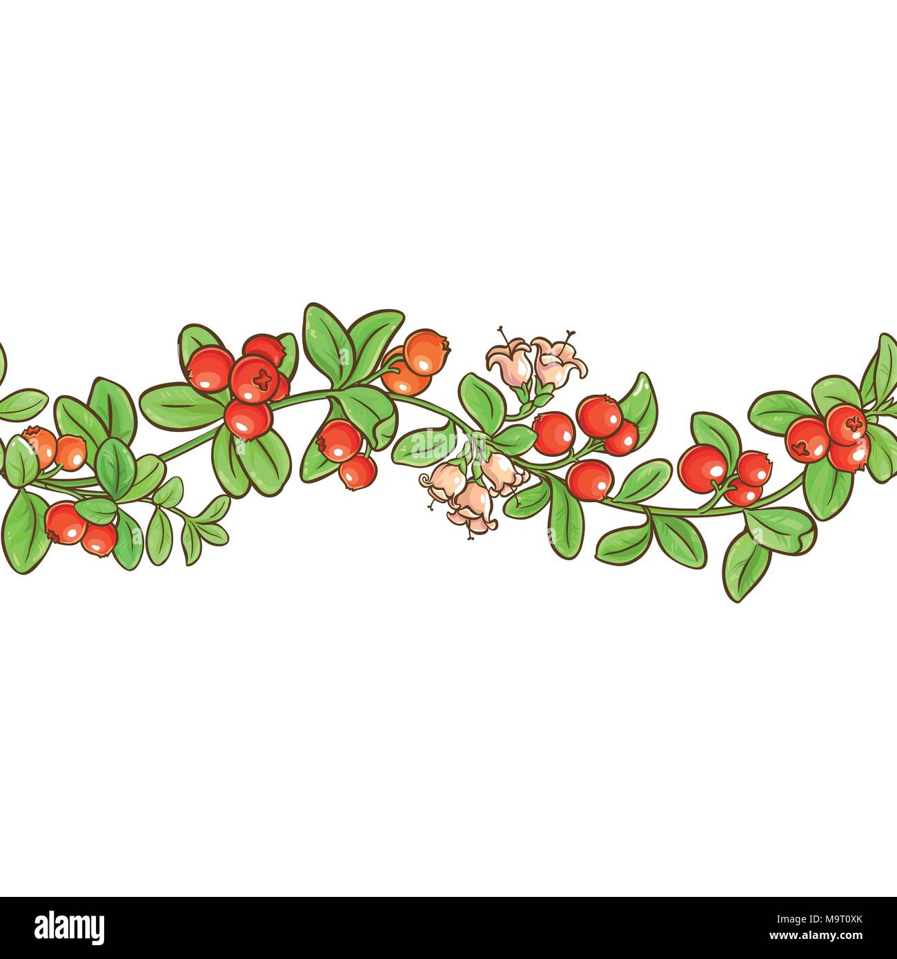 cranberry branch vector pattern on white background Stock Vector Image ...