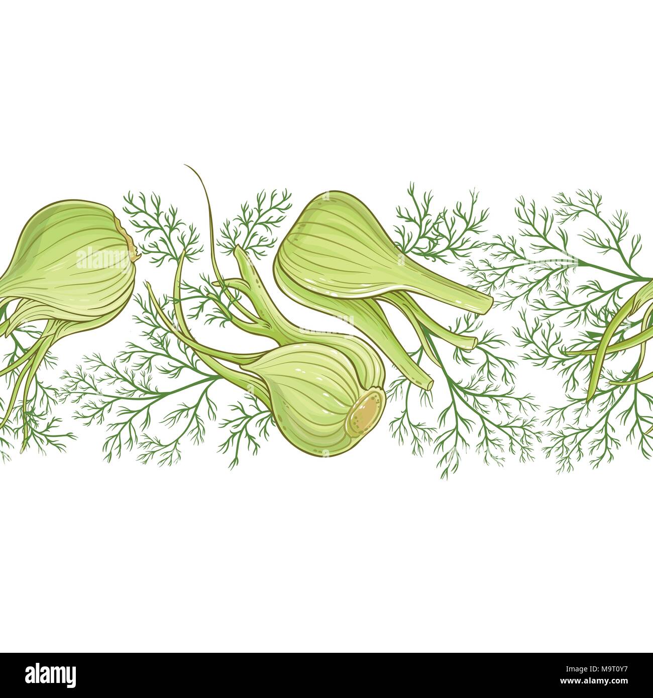 Asian fennel Stock Vector Images - Alamy