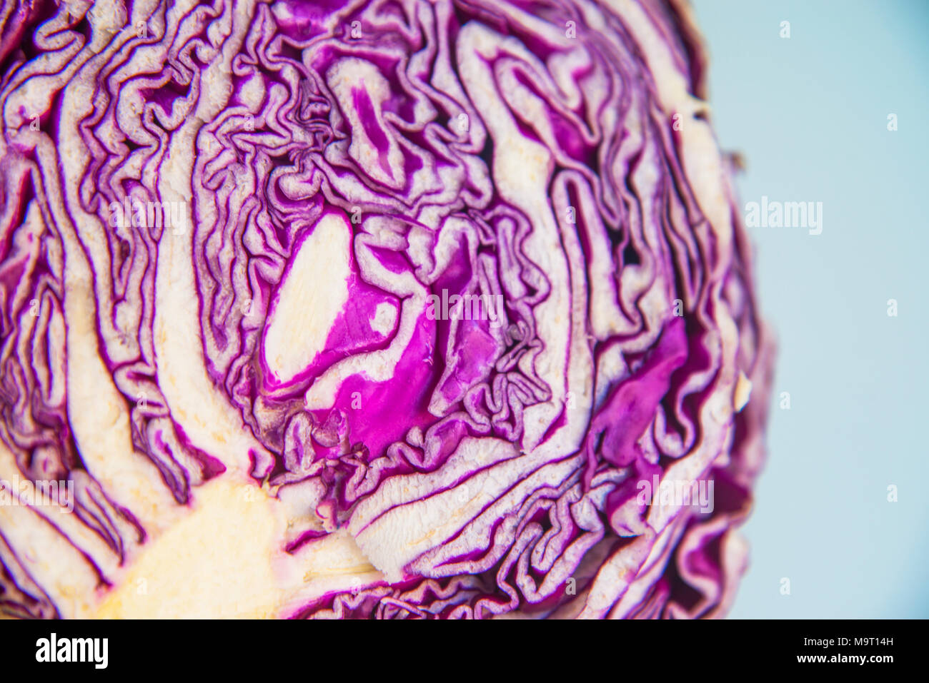 Close up view fresh vegetables hi-res stock photography and images - Alamy