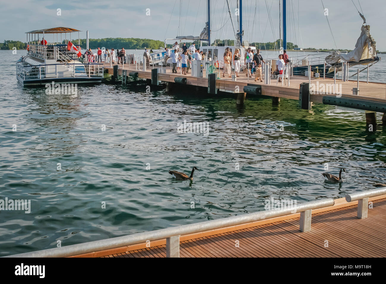 Waterfront, Lakeshore, Toronto- Tour boats docked to pier Stock Photo ...