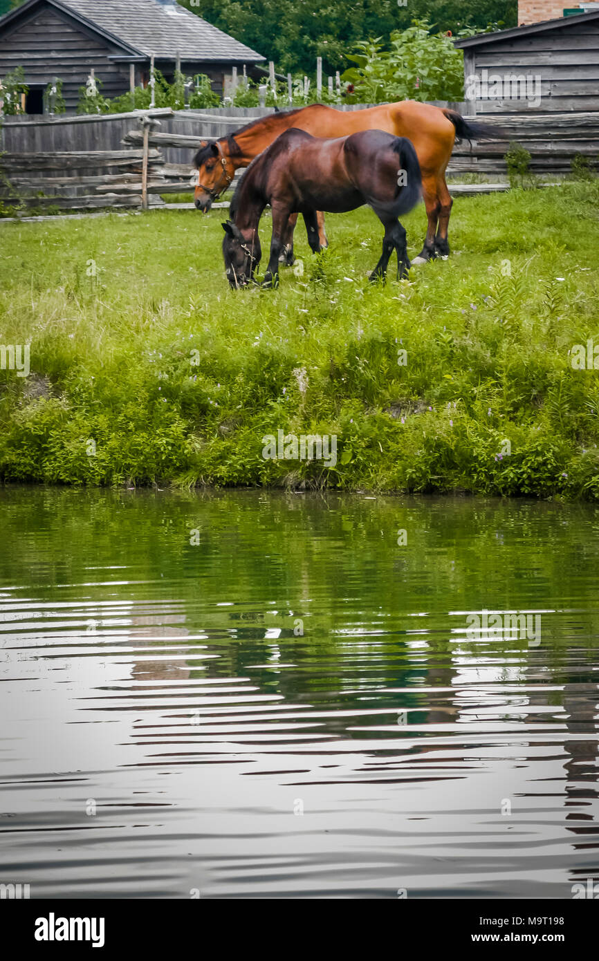 19th century farm life hi-res stock photography and images - Alamy