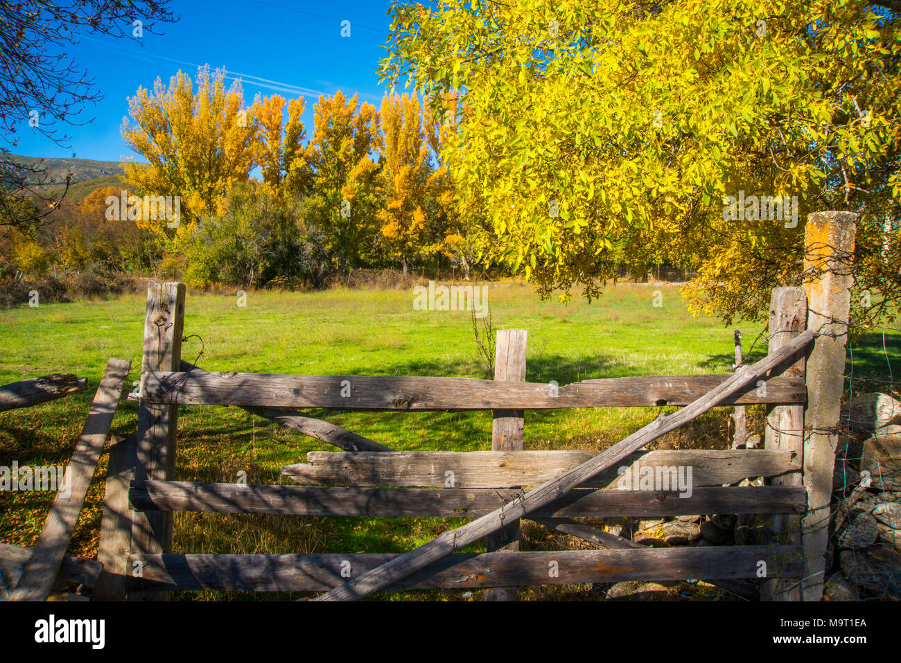 Meadow. Rascafria, Madrid province, Spain Stock Photo - Alamy
