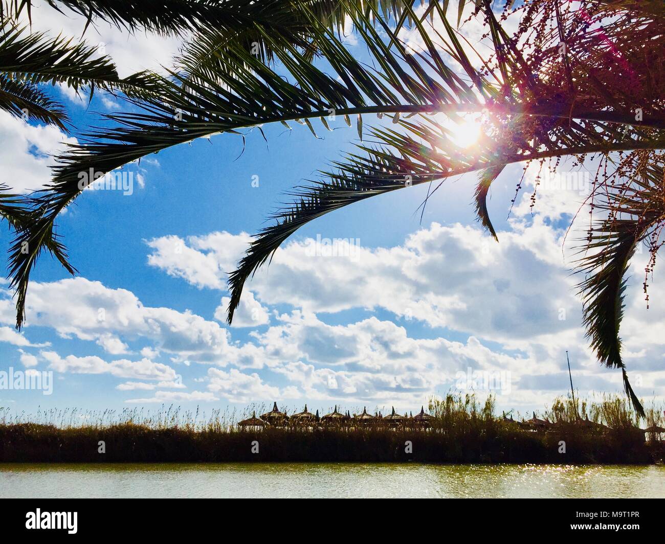 Art beautiful seaside view the background landscape Stock Photo - Alamy