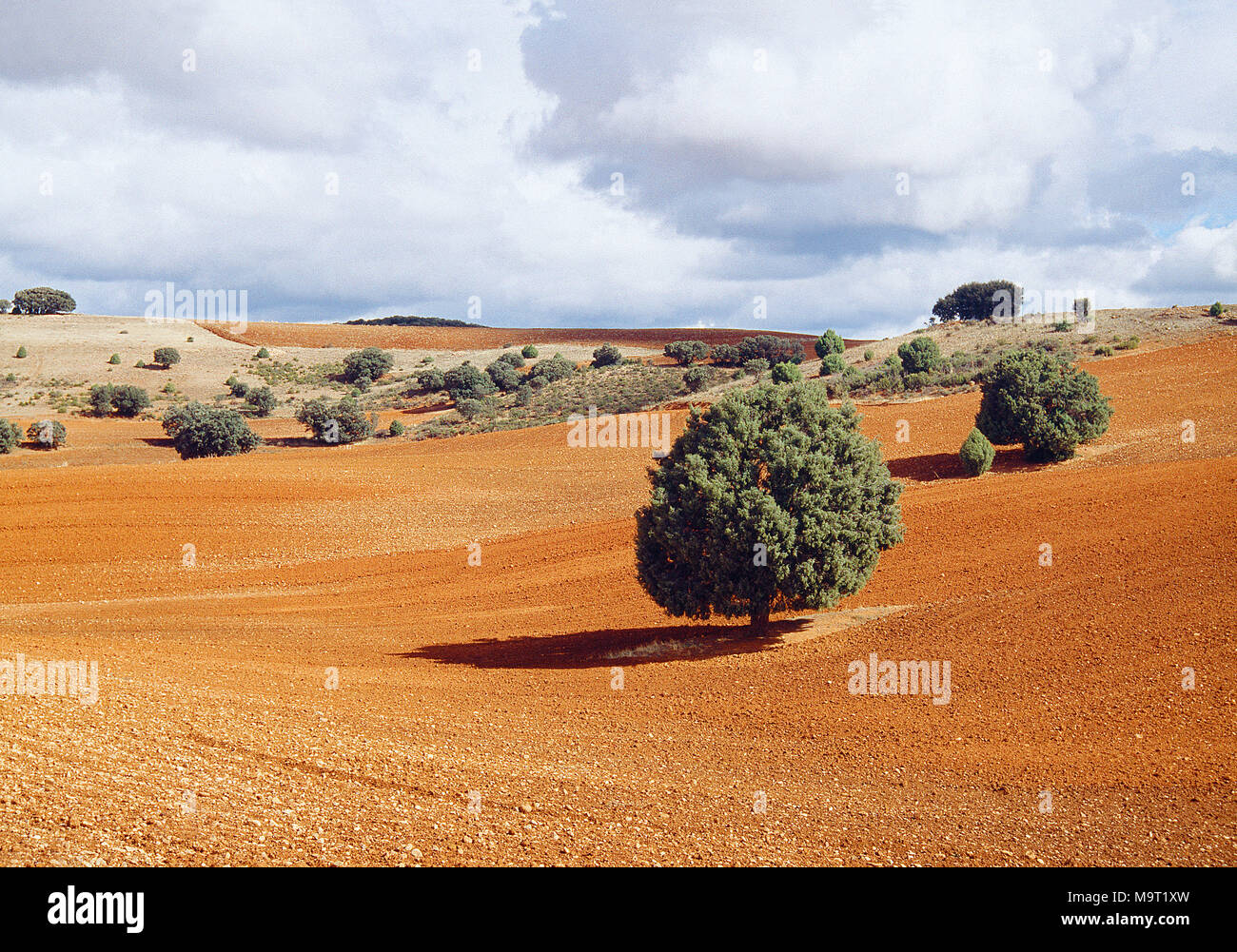 Cetina zaragoza province hi-res stock photography and images - Alamy