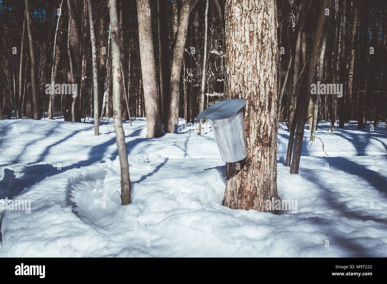 Bucket collection collecting hi-res stock photography and images - Alamy