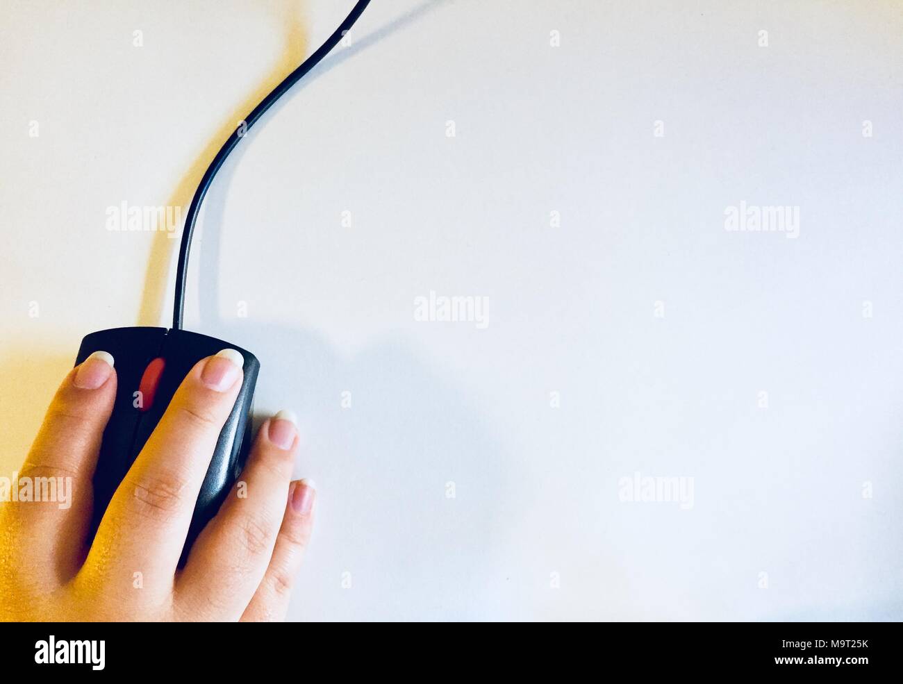 The computer mouse in hand on a white background Stock Photo - Alamy