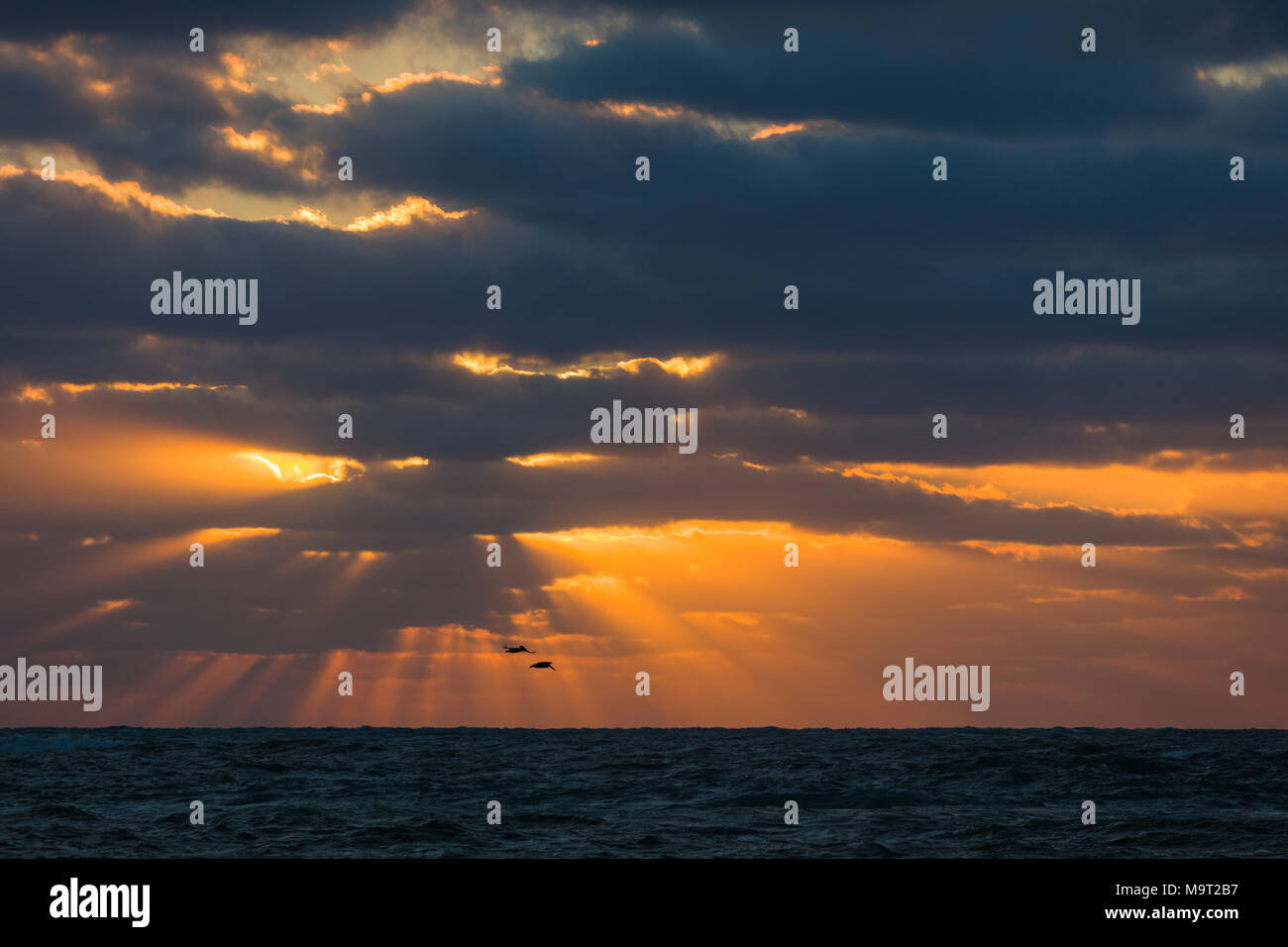 Rays form hi-res stock photography and images - Alamy