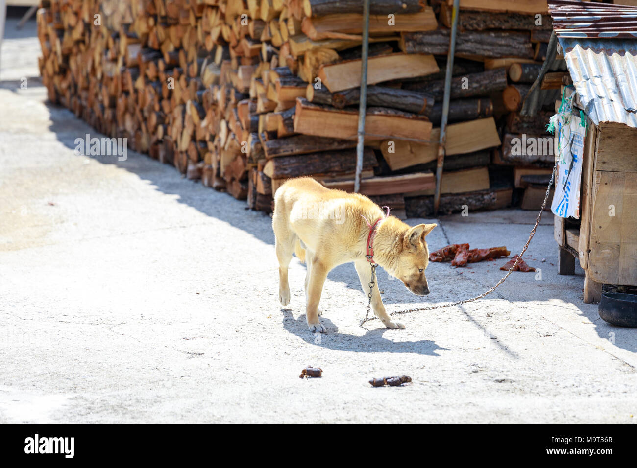 Gurye county hi-res stock photography and images - Alamy