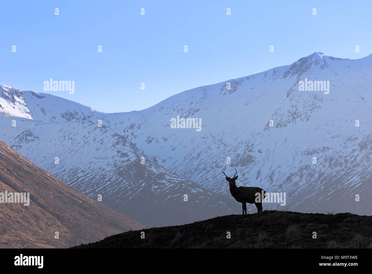 Hills Scotland Silhouette High Resolution Stock Photography and Images ...