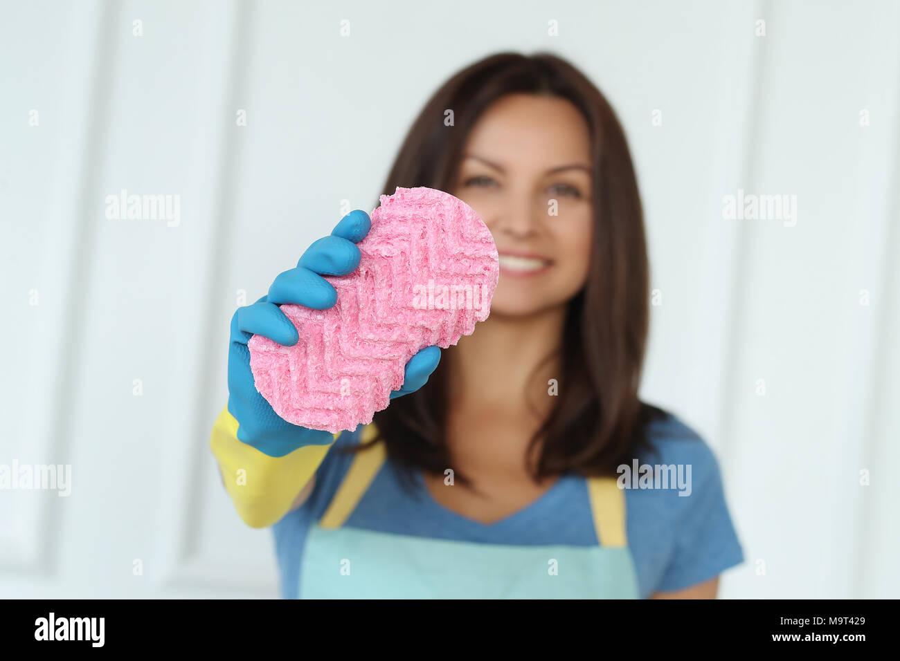 Household. Housemaid at daily work Stock Photo - Alamy