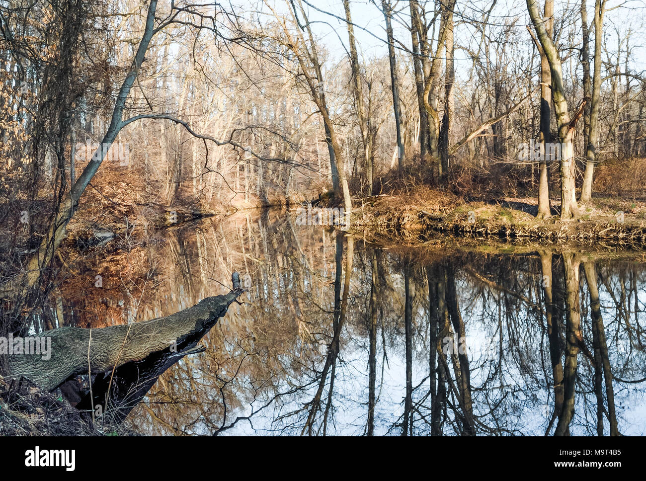 A view of the Pennypack Stock Photo - Alamy