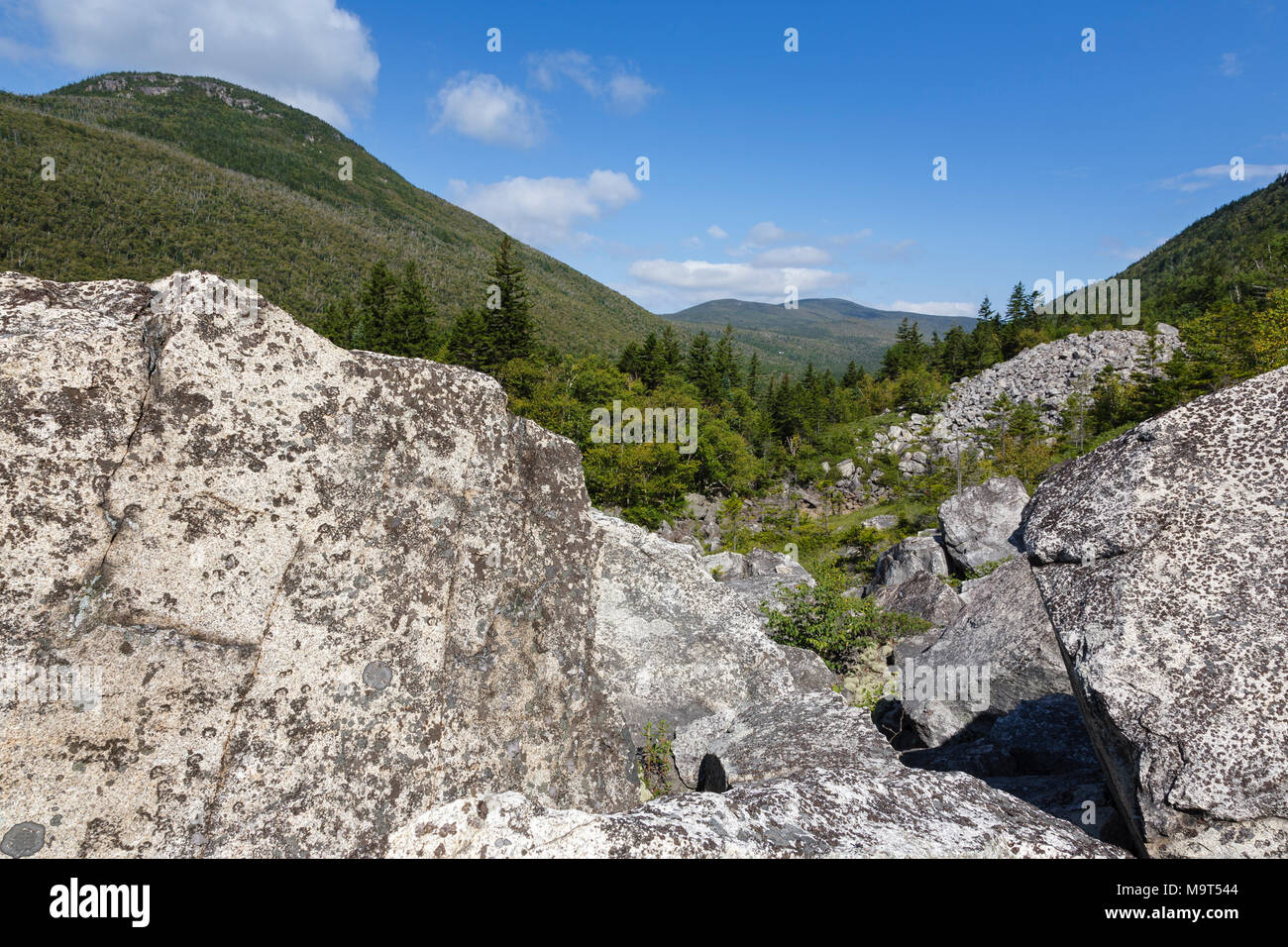 Zealand Notch from Zeacliff Trail in the White Mountains, New Hampshire ...