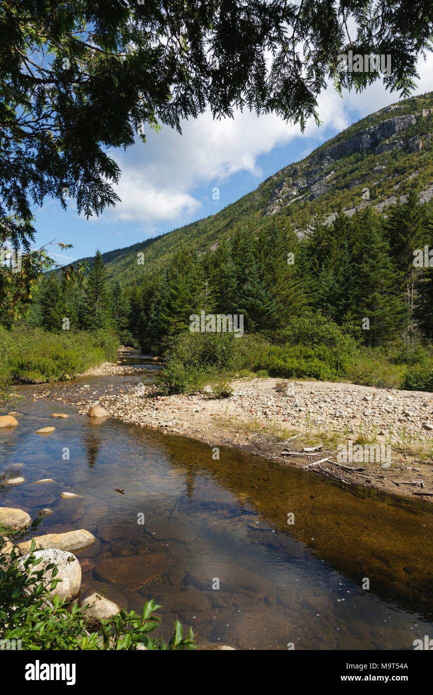 Lichens montane hi-res stock photography and images - Alamy