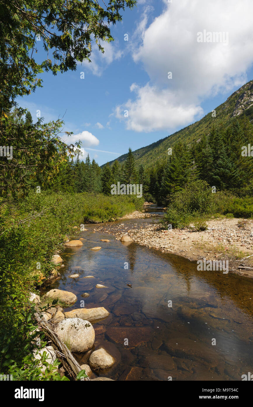 Whitewall Brook in Zealand Notch of the New Hampshire White Mountains ...