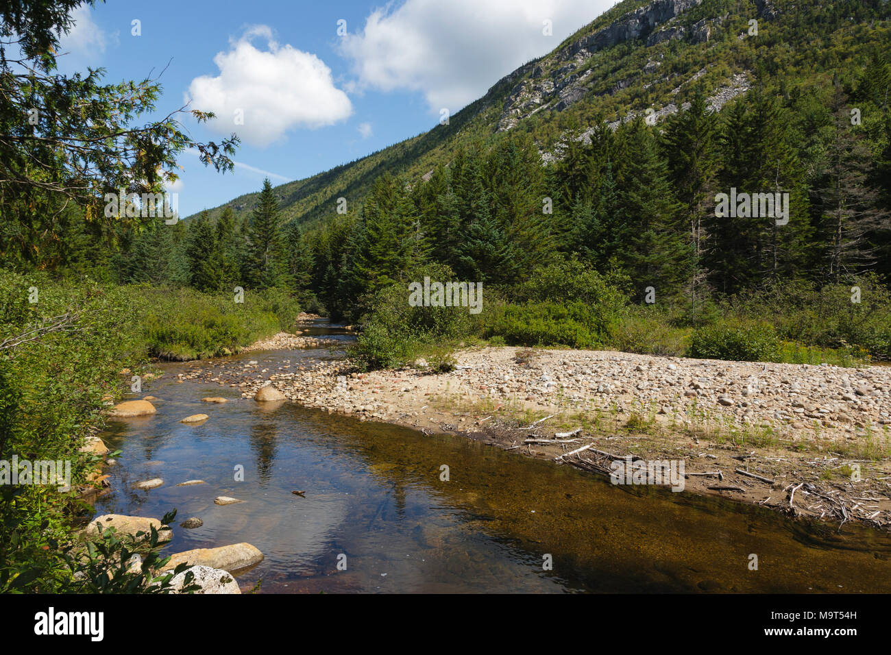 Whitewall Brook in Zealand Notch of the New Hampshire White Mountains ...