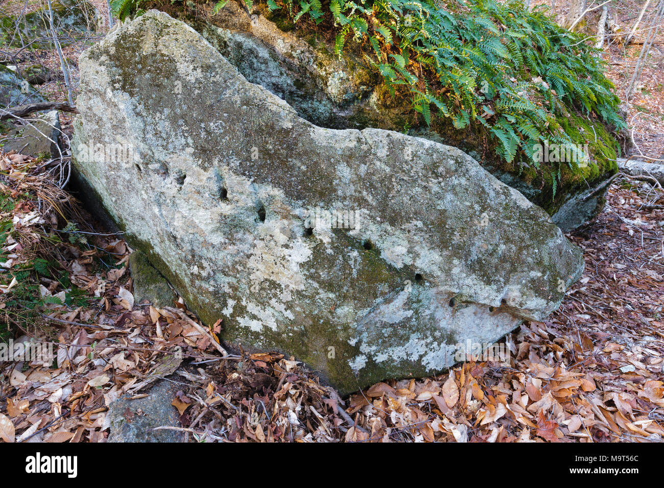 Remnants of stone splitting (plug and feathers) in the area of "The ...