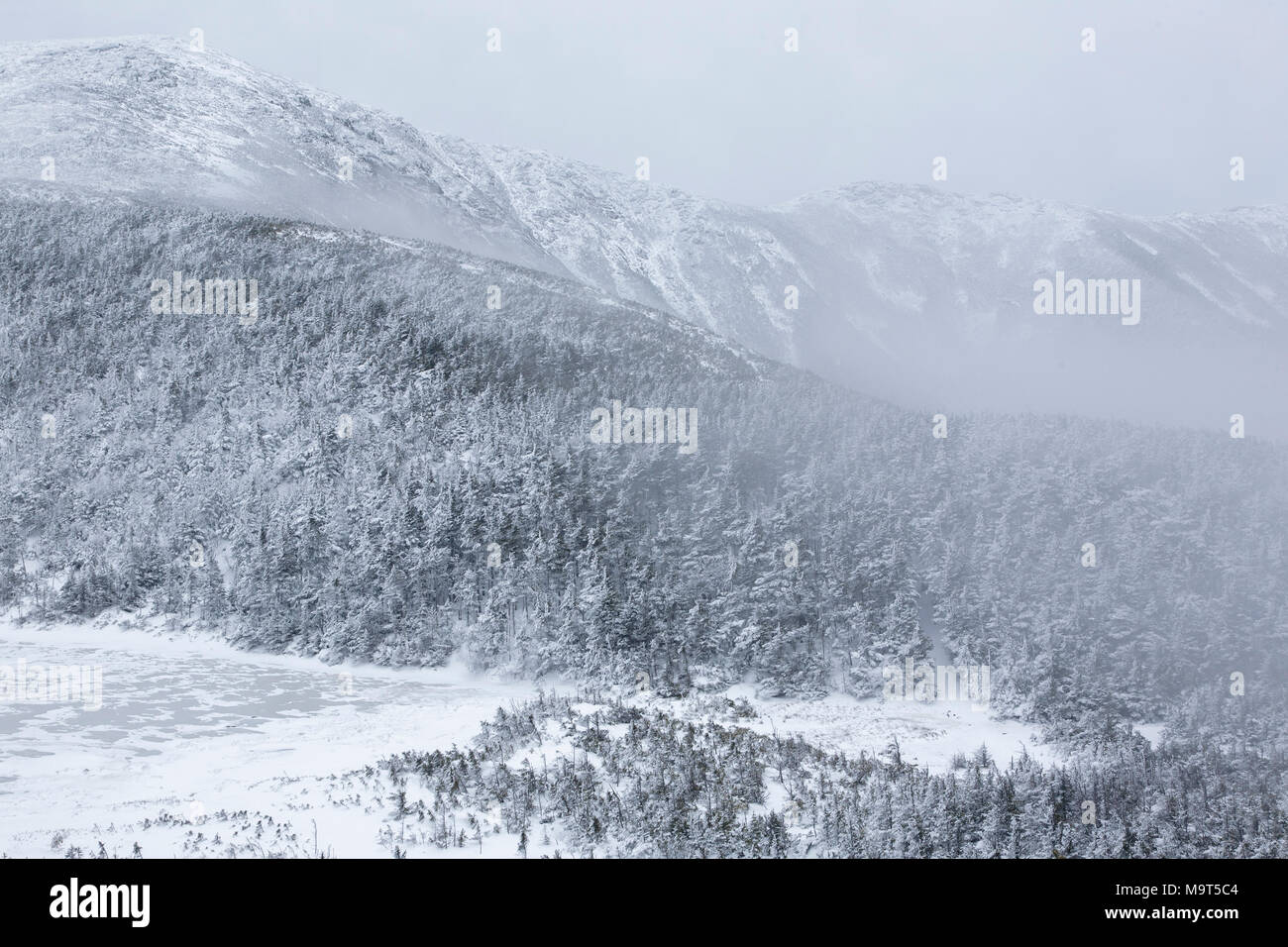 Appalachian mountains winter alpine zone hi-res stock photography and ...