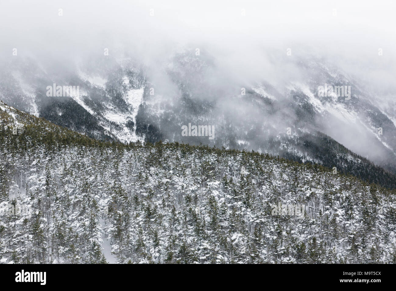 Franconia Ridge from Greenleaf Trail during extreme weather conditions ...