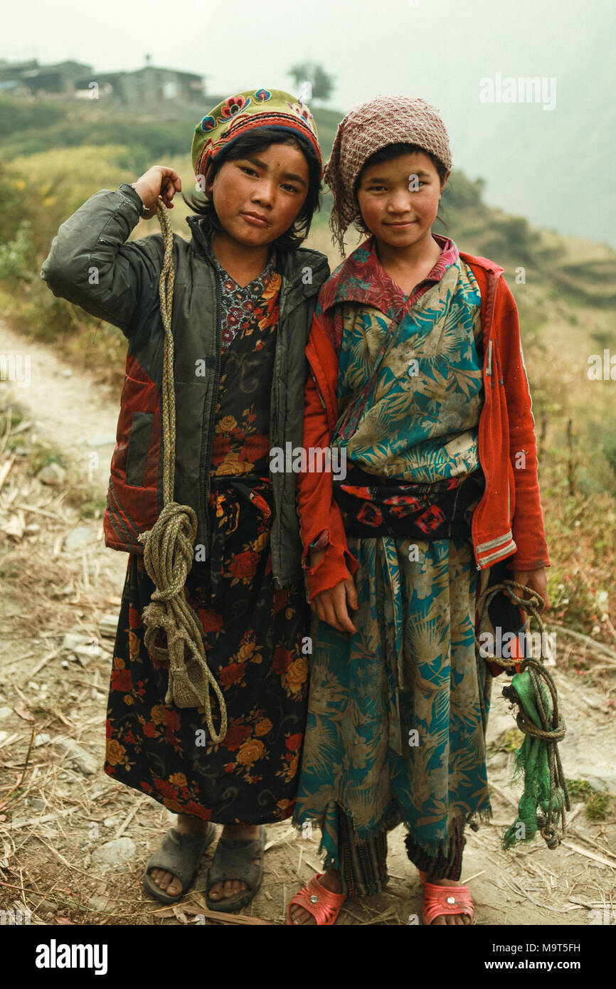 Gedmatch results : r/23andme