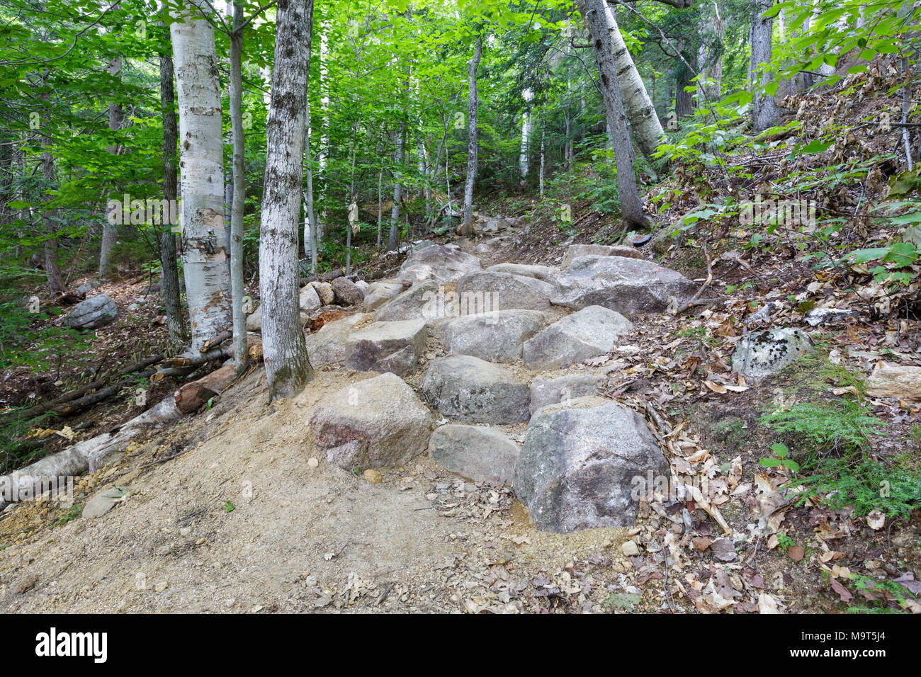 Professional trailwork hi-res stock photography and images - Alamy