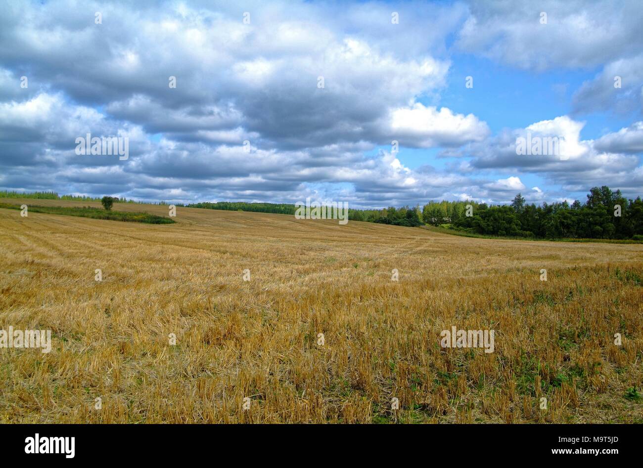 Sloping field in autumn in Russia, Tula region Stock Photo - Alamy