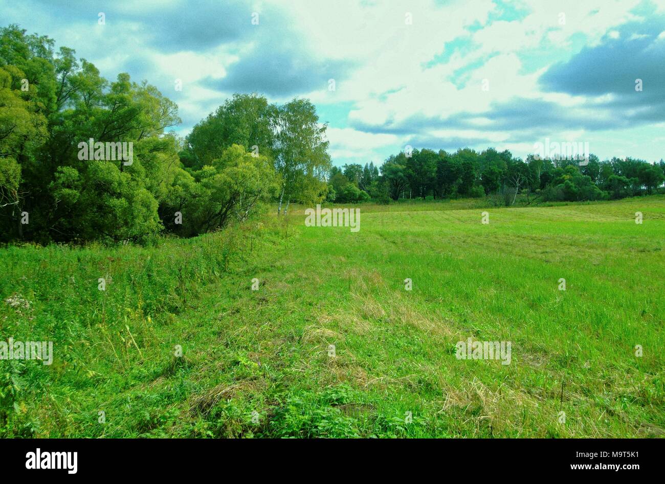 Sloping field in autumn in Russia, Tula region Stock Photo - Alamy