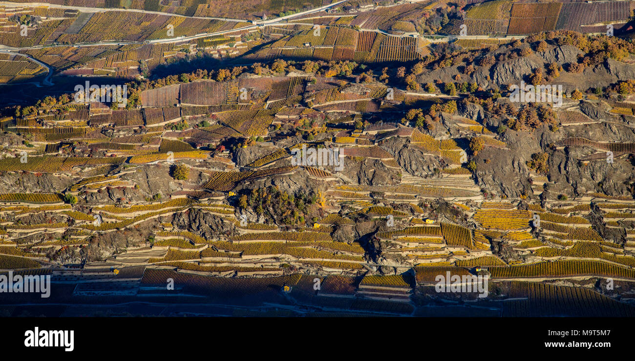 Aerial landscape of the north side of the Rhone River, showing ...