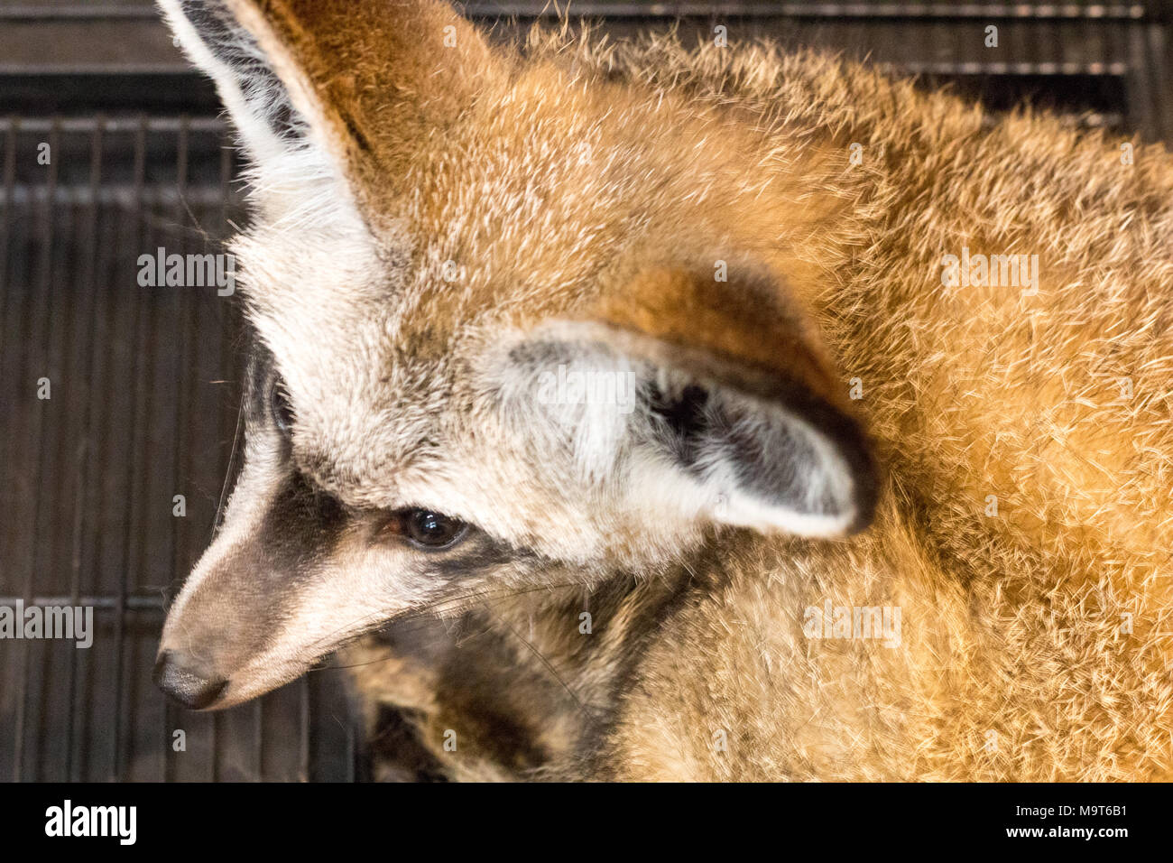 Technical drawing vector hi-res stock photography and images - Alamy