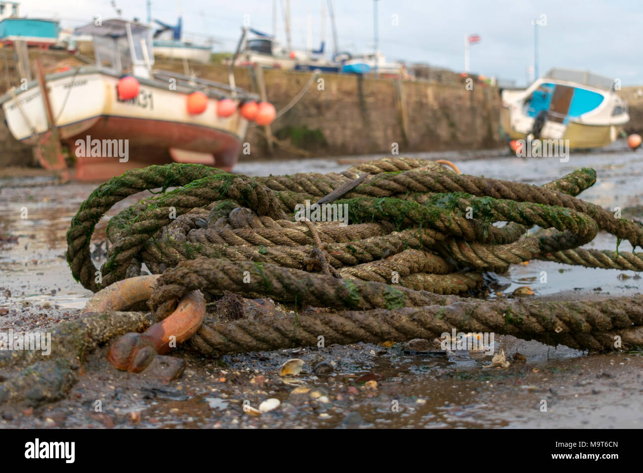 Boat ropes at Paignton harbour, Devon Stock Photo - Alamy