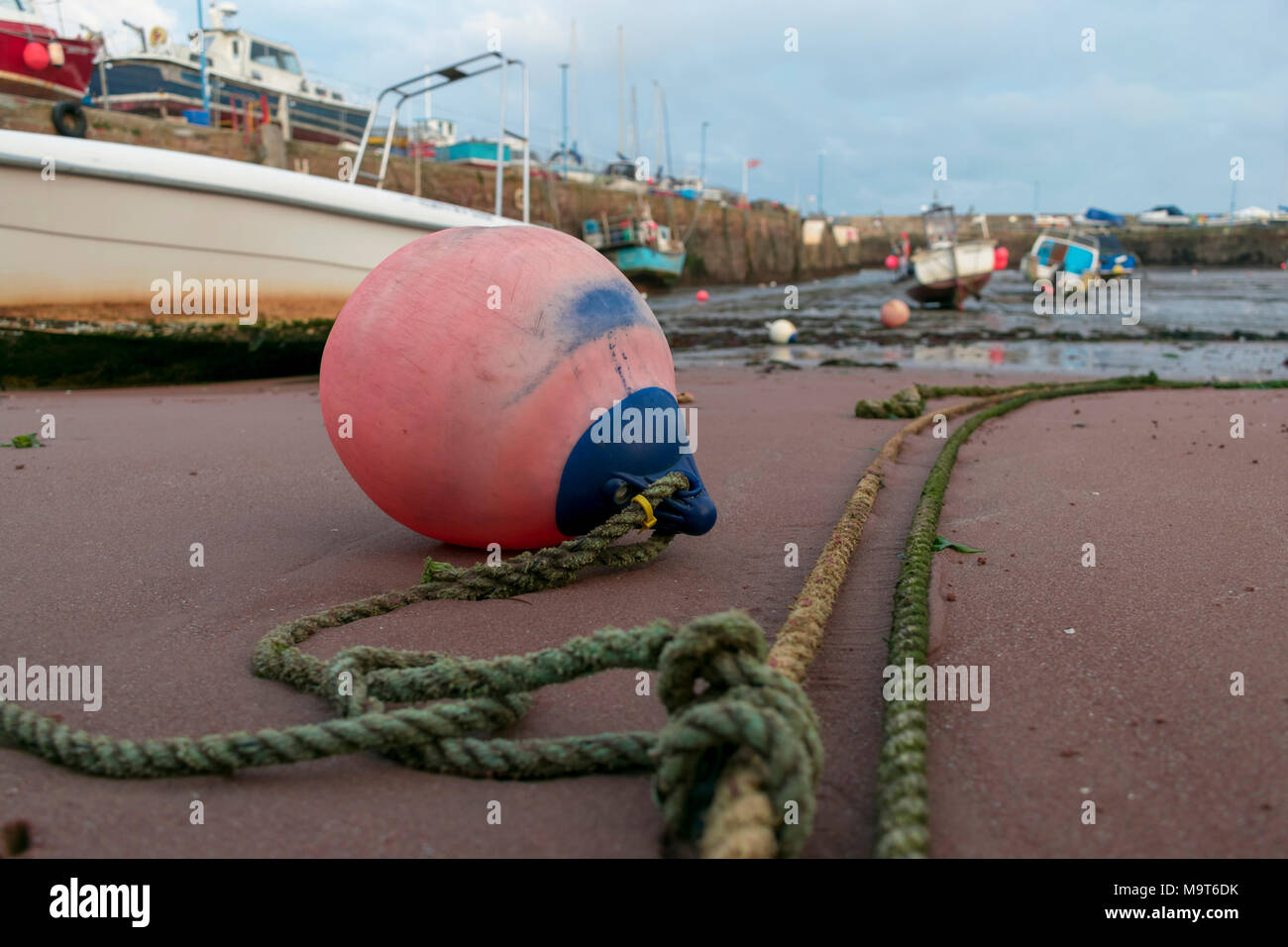 Buoy at Paignton Harbour, Devon Stock Photo - Alamy