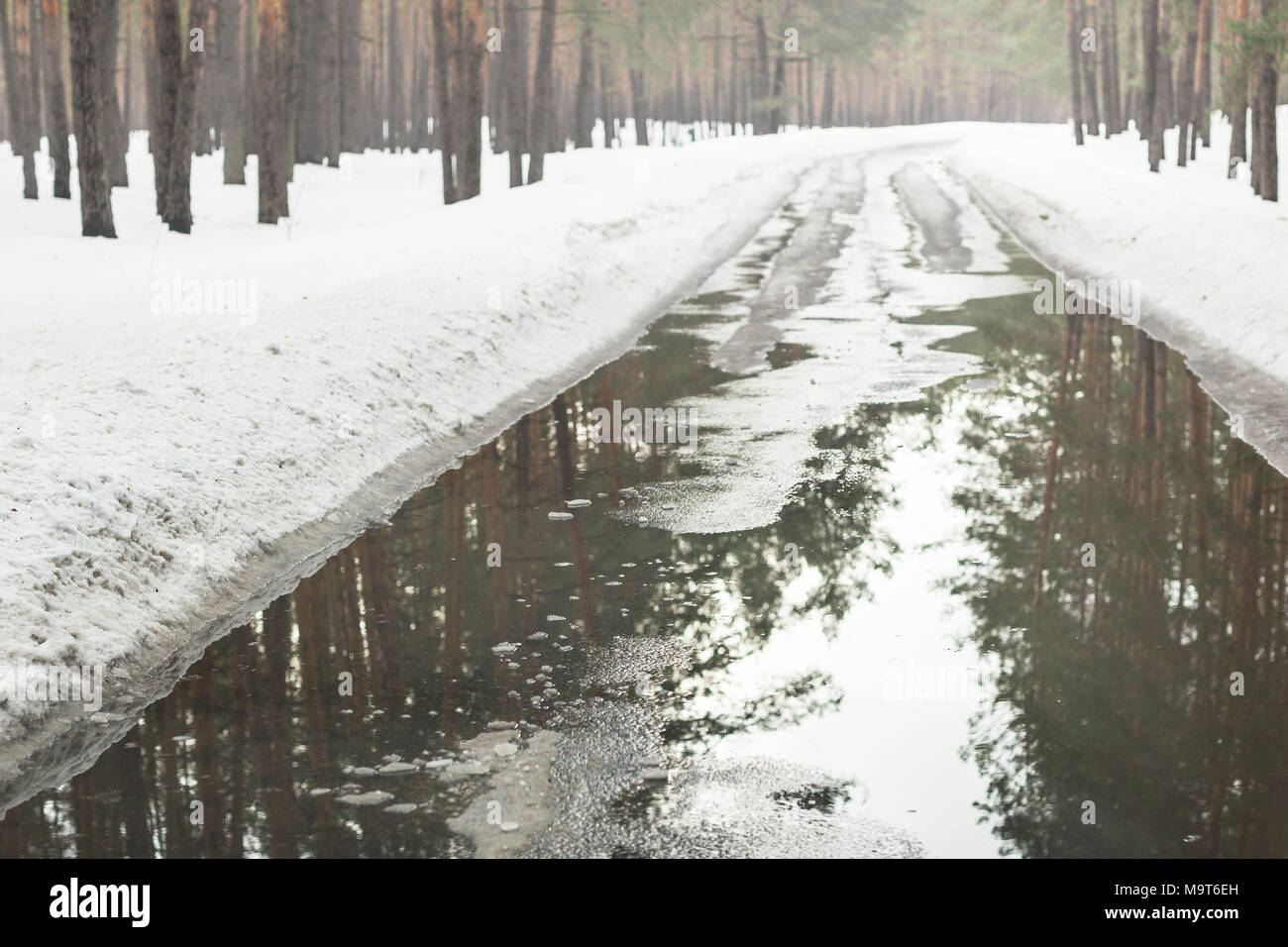 Flooding of road due to snow melting and rising of water level. Spring ...