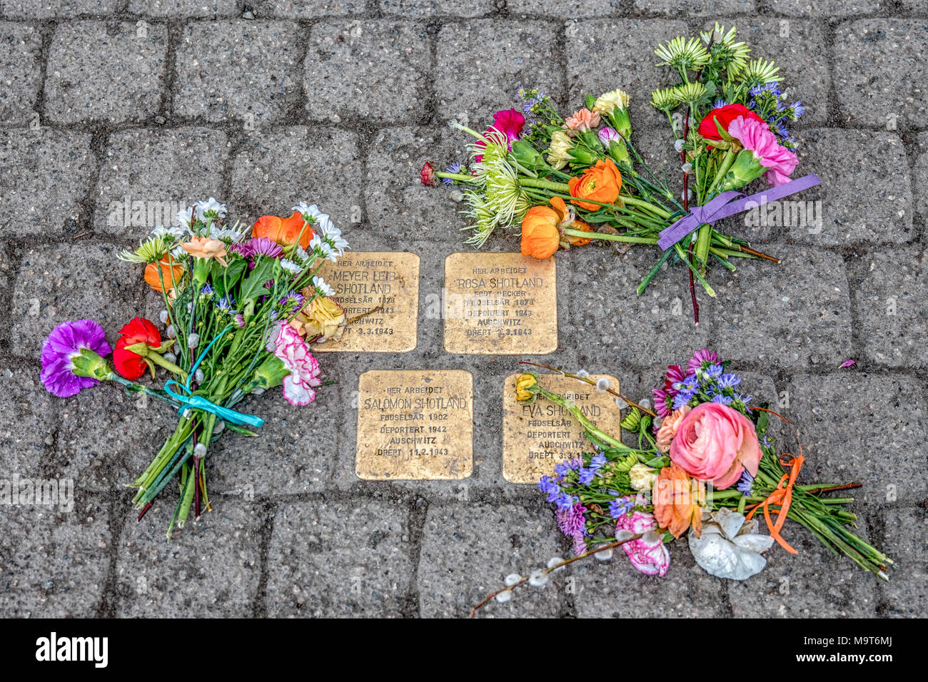 Beautiful scenes from Bergen and Lofoten, Norway, in winter Stock Photo ...