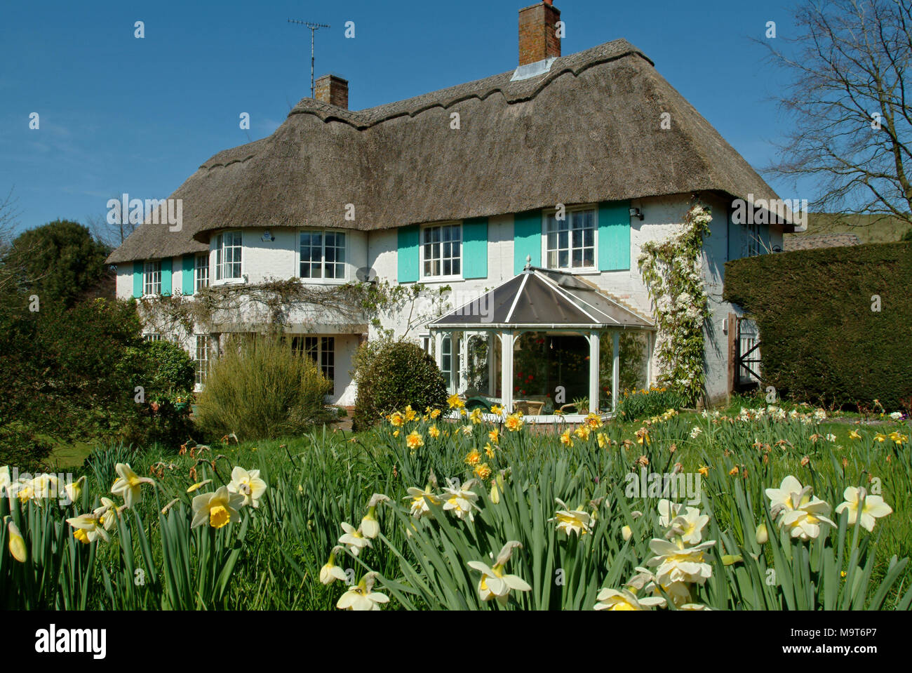 Devonshire House Stock Photos & Devonshire House Stock Images - Alamy