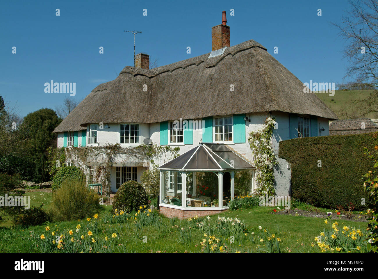 Devon devonshire large hi-res stock photography and images - Alamy