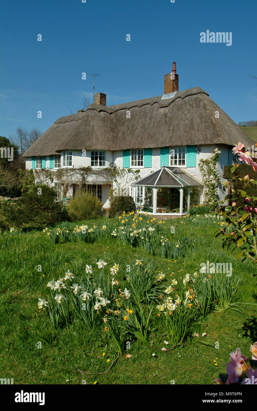 Devon devonshire large hi-res stock photography and images - Alamy