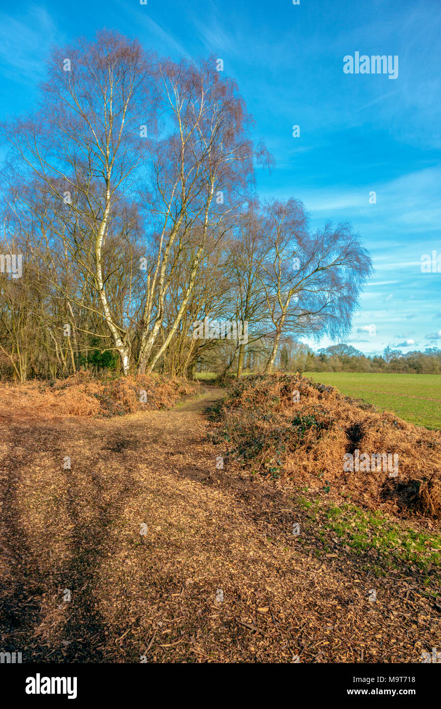 Chiltern aonb hi-res stock photography and images - Alamy