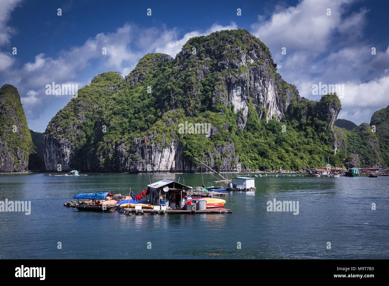 traditional vietnamese boats and floating village among beautiful ...