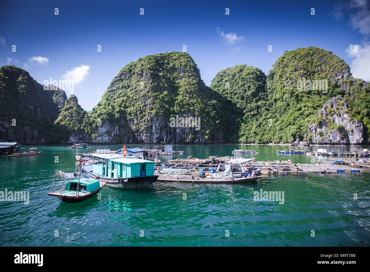 traditional vietnamese boats and floating village among beautiful ...