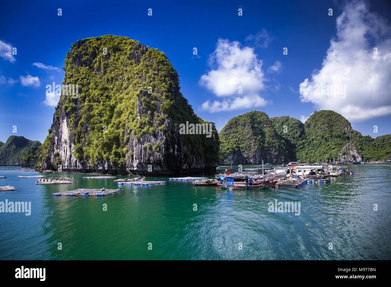 traditional vietnamese boats and floating village among beautiful ...