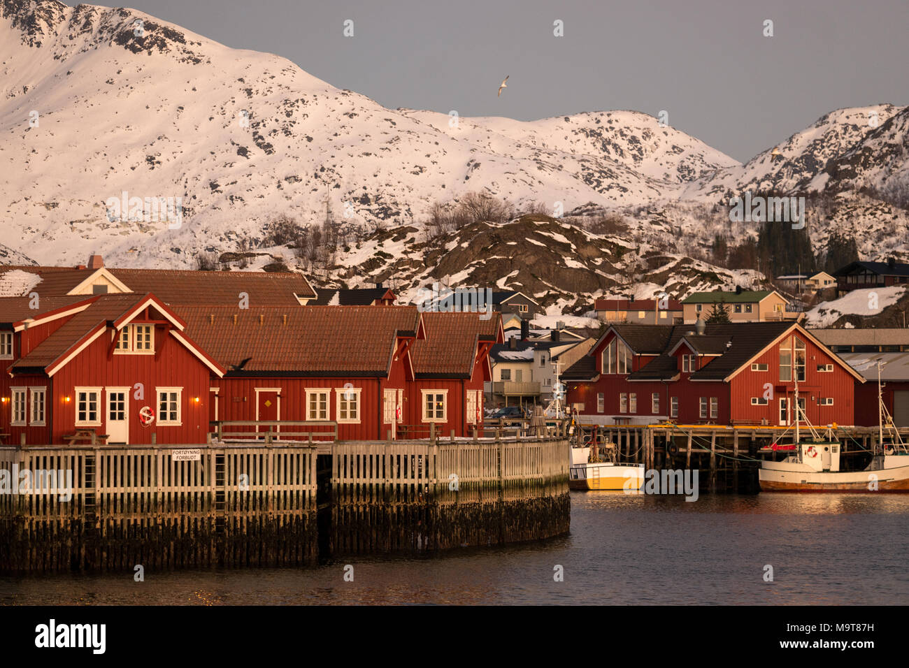 Svinoya Rorbuer, self-catering cabins on the island of Svinoya, across ...