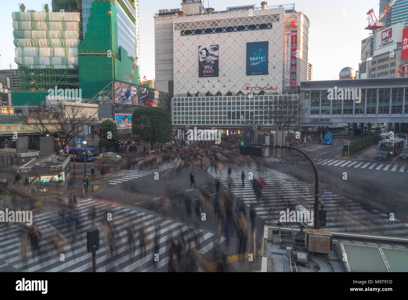 Pedestrians crosswalk at Shibuya district in Tokyo, Japan. Shibuya ...