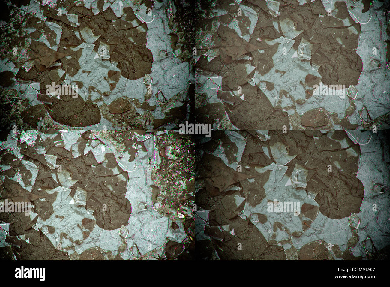 Muddypath hi-res stock photography and images - Alamy