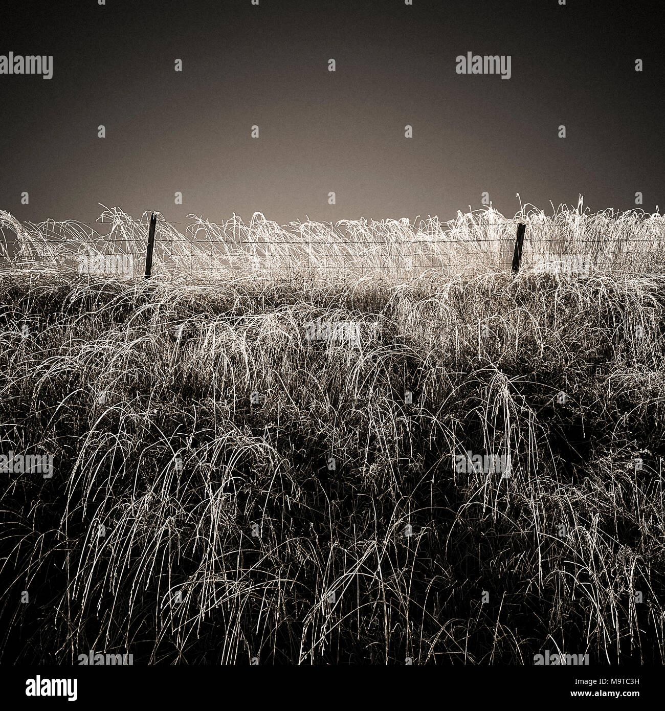 White fence field hi-res stock photography and images - Alamy