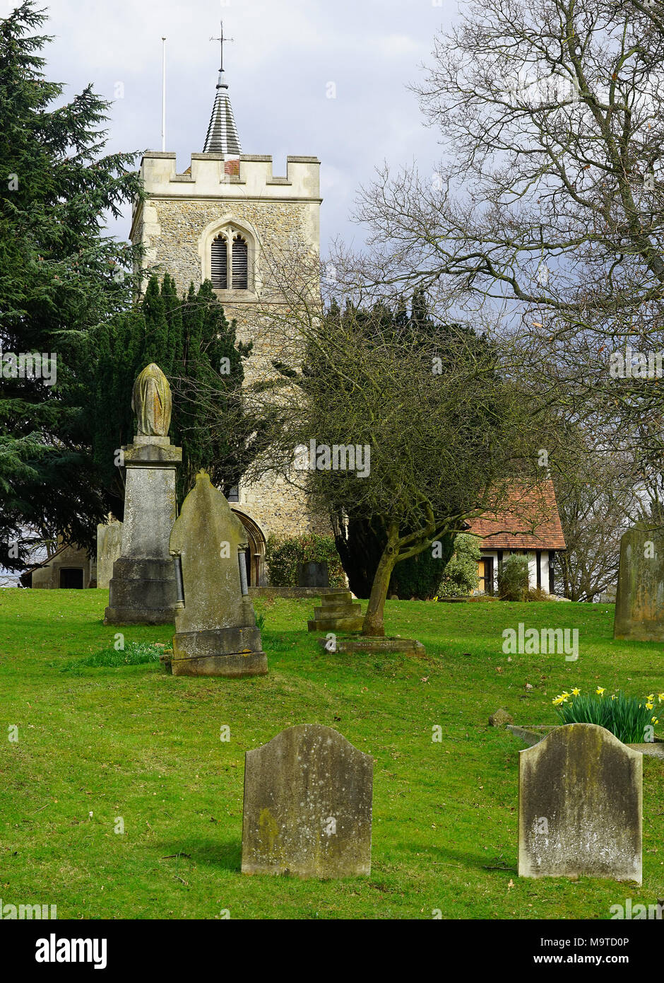 The attractive Church of St Peter at Tewin Stock Photo - Alamy